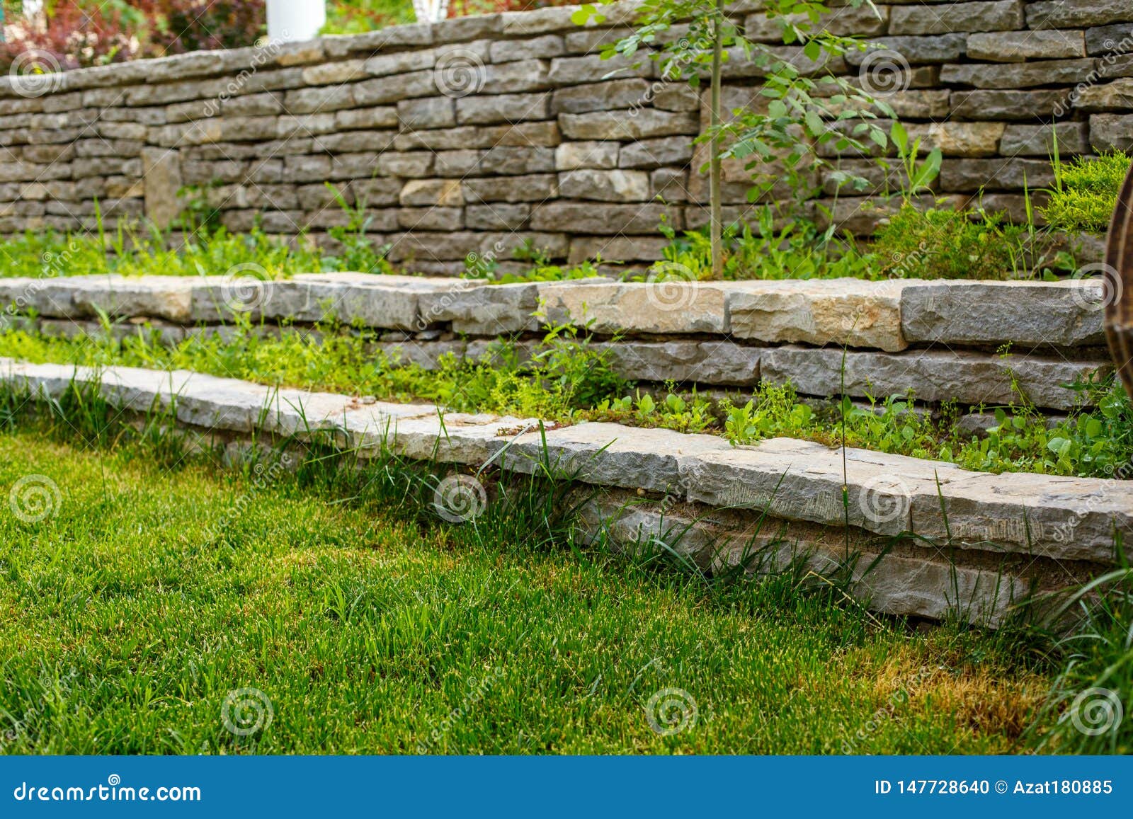 Green Lawn and Stone Path with Stone Walls Stock Photo - Image of floor ...