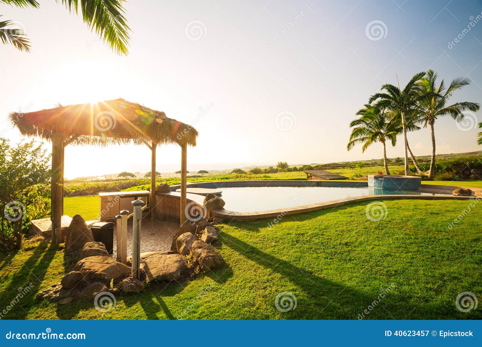Green Lawn with Swimming Pool Stock Image - Image of beautiful ...