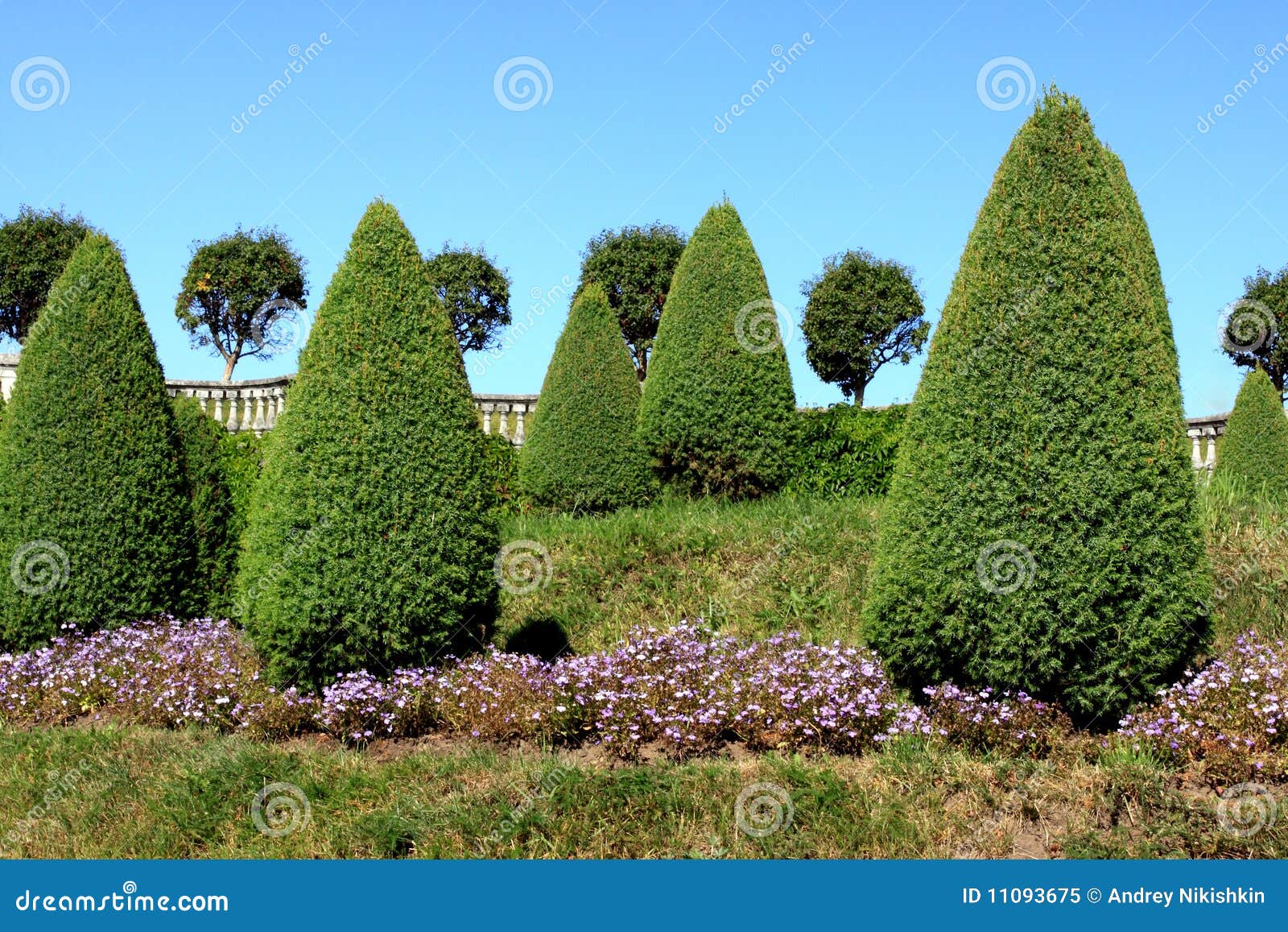 Green lawn with trees stock image. Image of saint, forms - 11093675