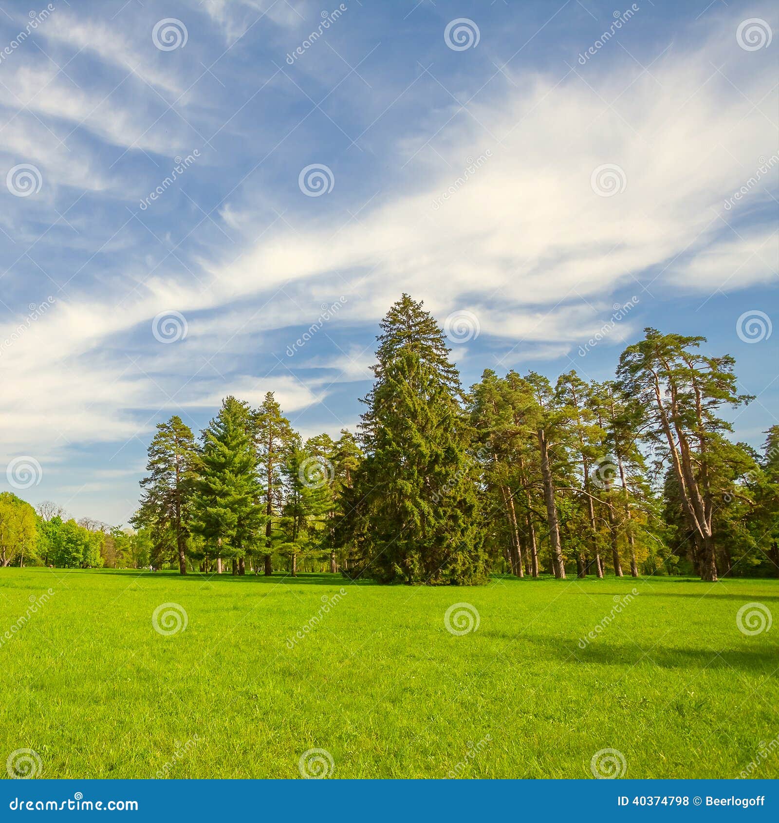 Green lawn with trees stock photo. Image of glade, grass - 40374798