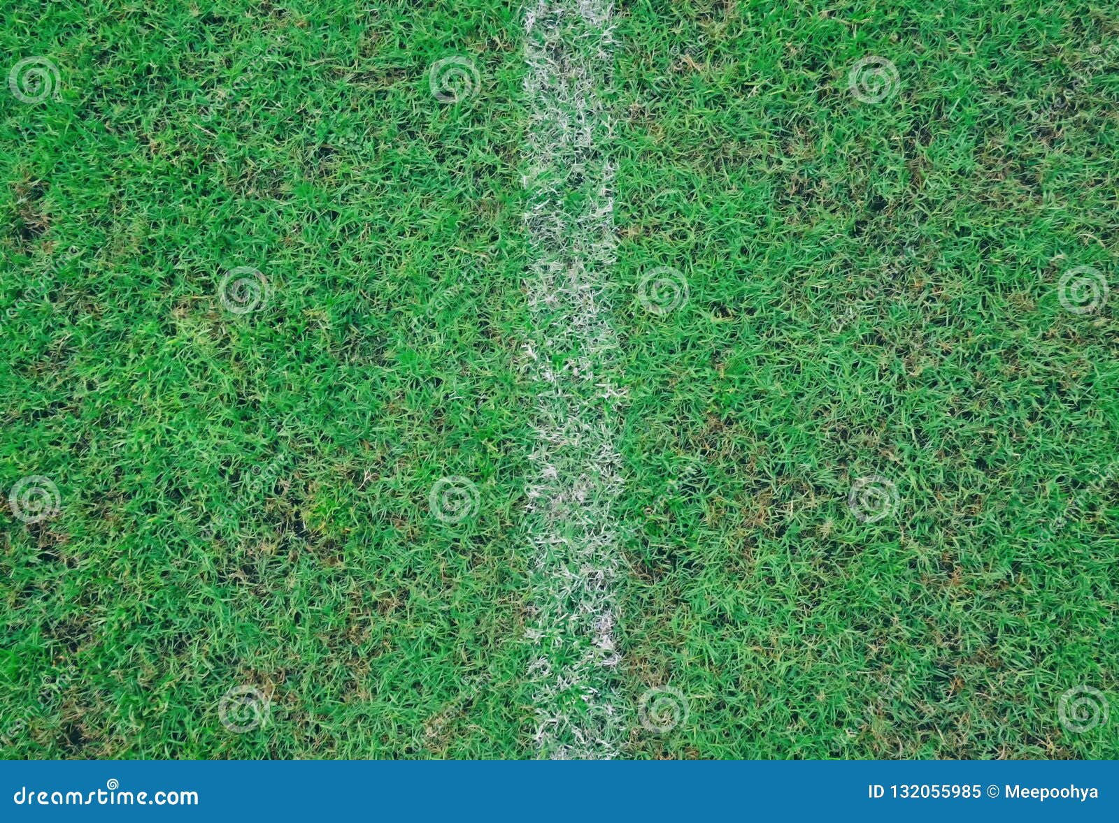 Green lawns empty backdrop stock image. Image of backdrop - 132055985
