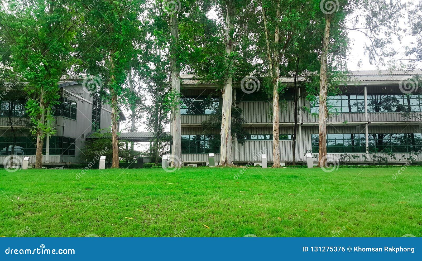 Green Lawns and Large Trees in Front of the Office. Stock Photo - Image ...