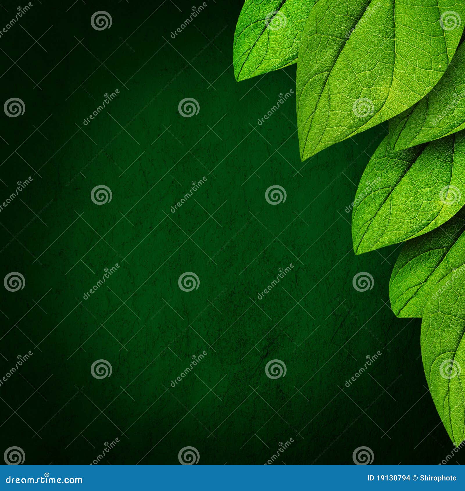Green leaf background stock illustration. Illustration of detail - 19130794