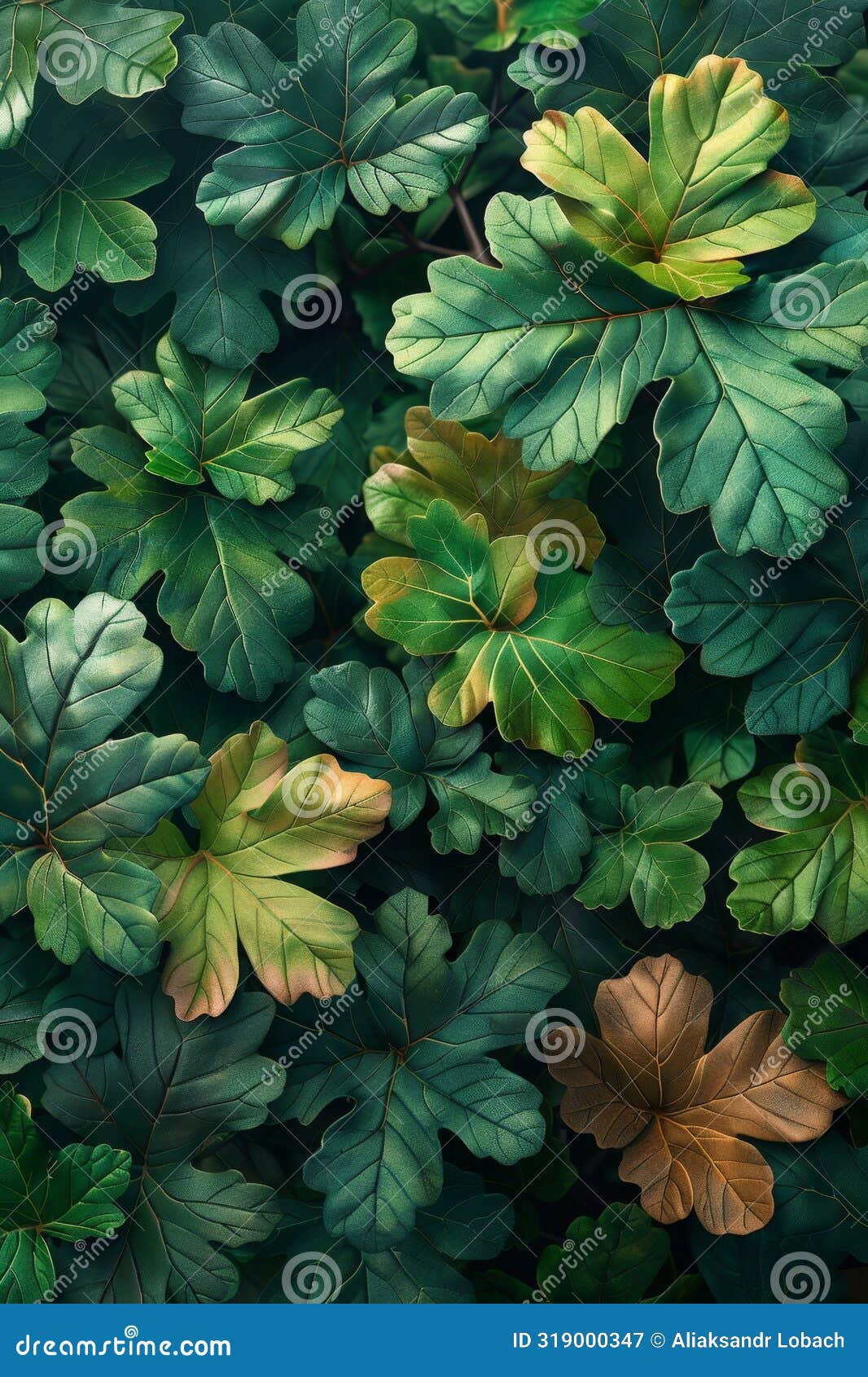 Green Leaf Background, Environmental Background and Desktop Wallpaper ...