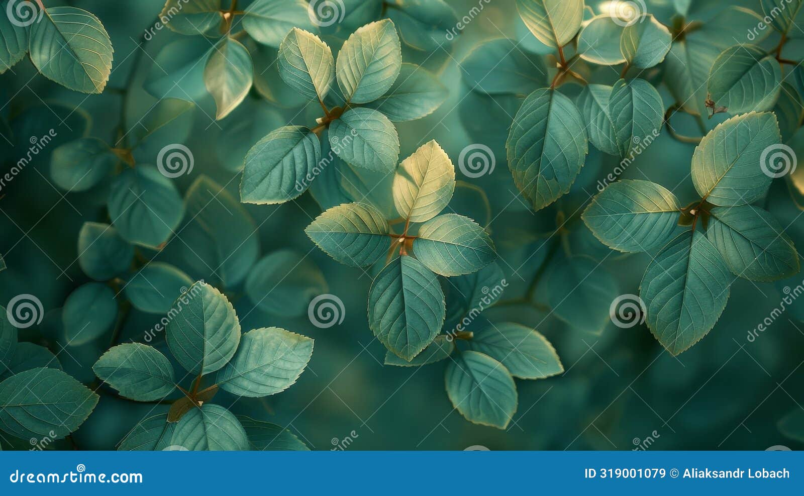 Green Leaf Background, Environmental Background and Desktop Wallpaper ...