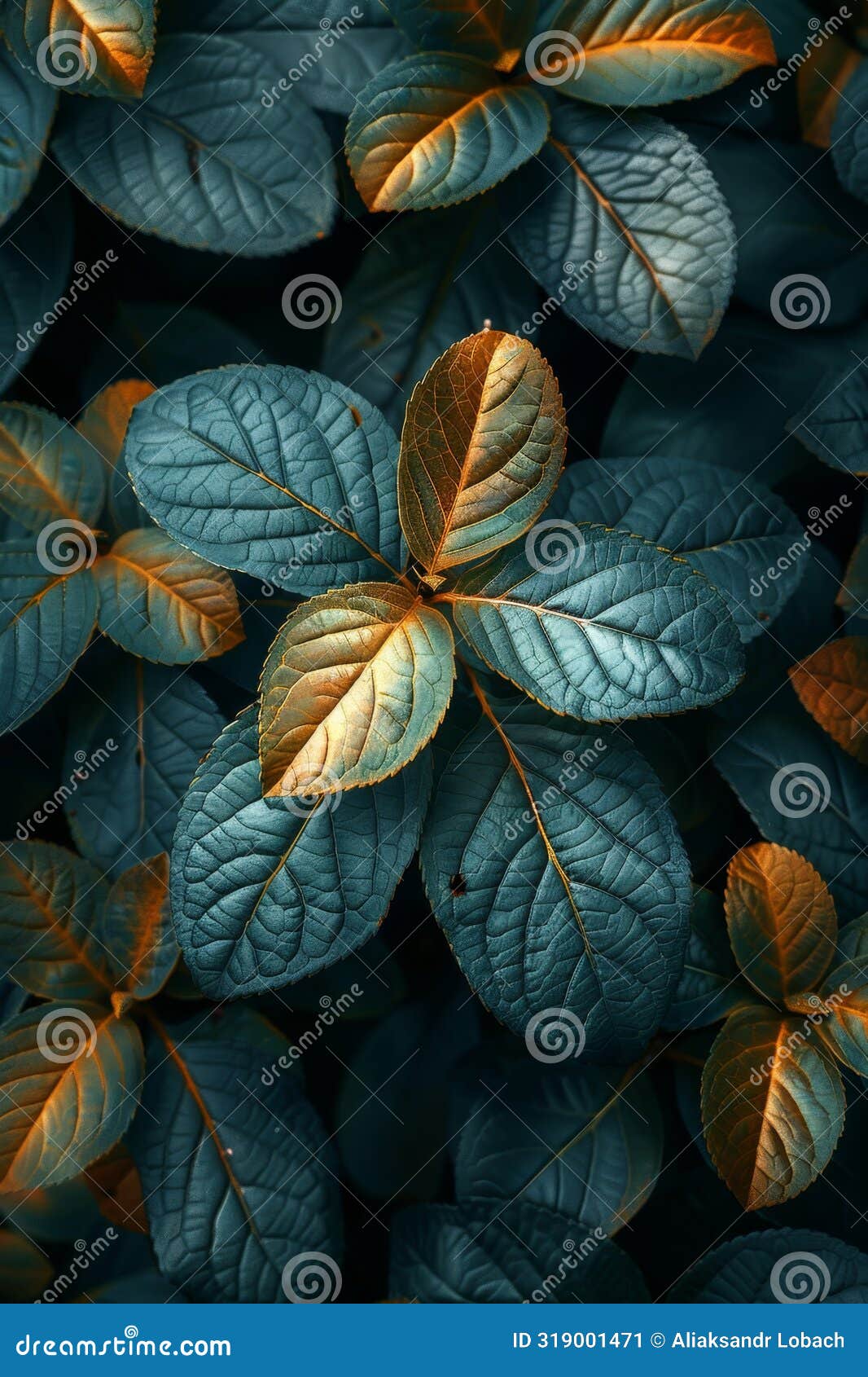 Green Leaf Background, Environmental Background and Desktop Wallpaper ...