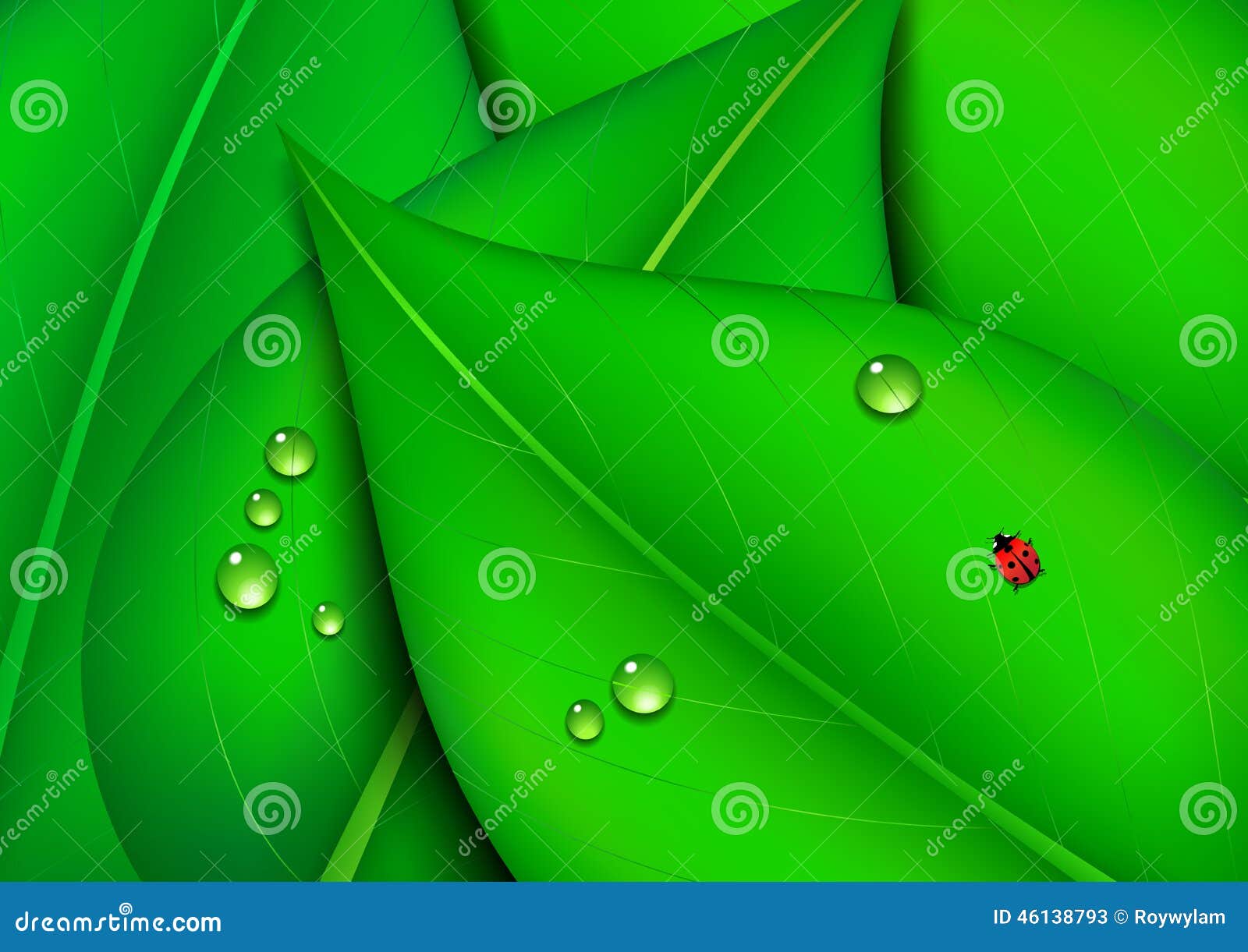 Green Leaf Background with Water Drops Stock Vector - Illustration of ...