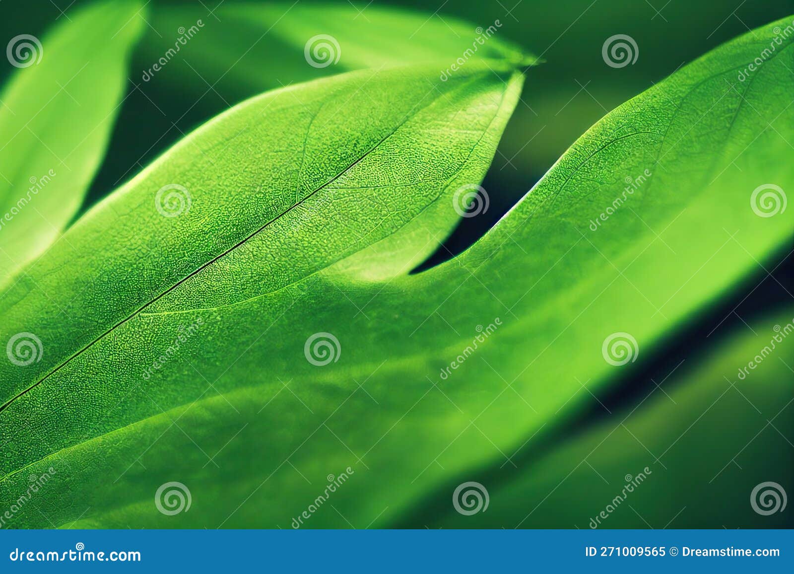 Green Leaf Blurred Background with Narrow Elongated Tree Leaves Stock ...