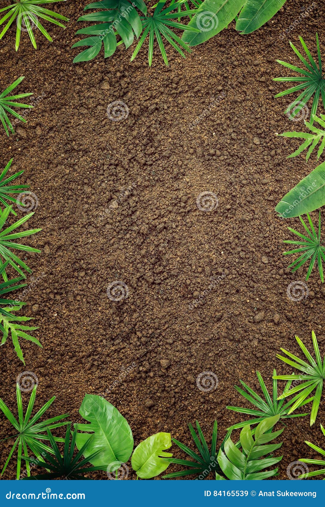 Green Leaf Border Background Stock Image - Image of frame, elements ...