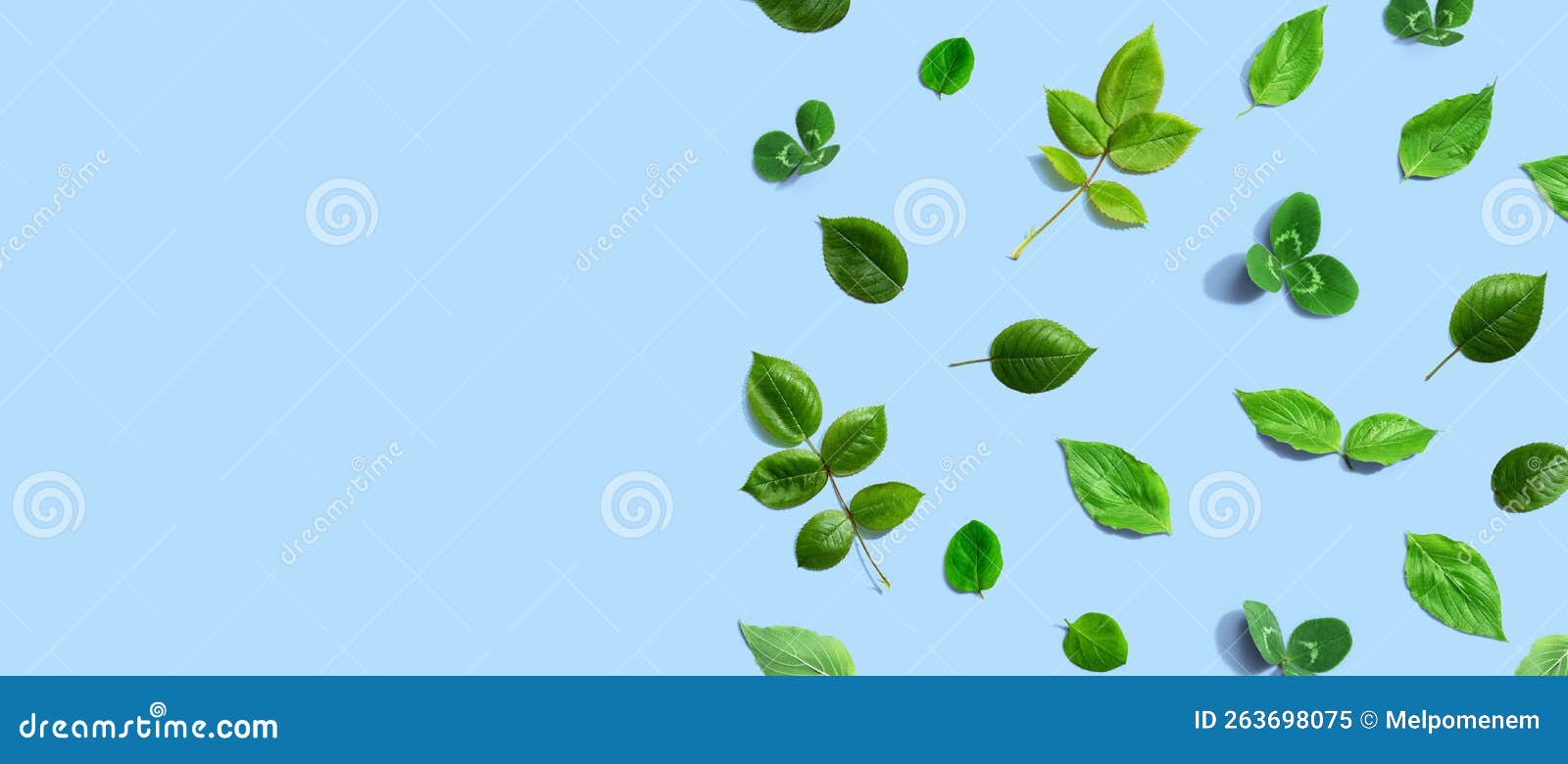 Green Leaf Border Design Background Stock Image - Image of leaves ...