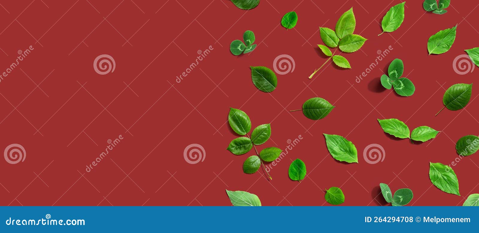 Green Leaf Border Design Background Stock Photo - Image of flyer, green ...