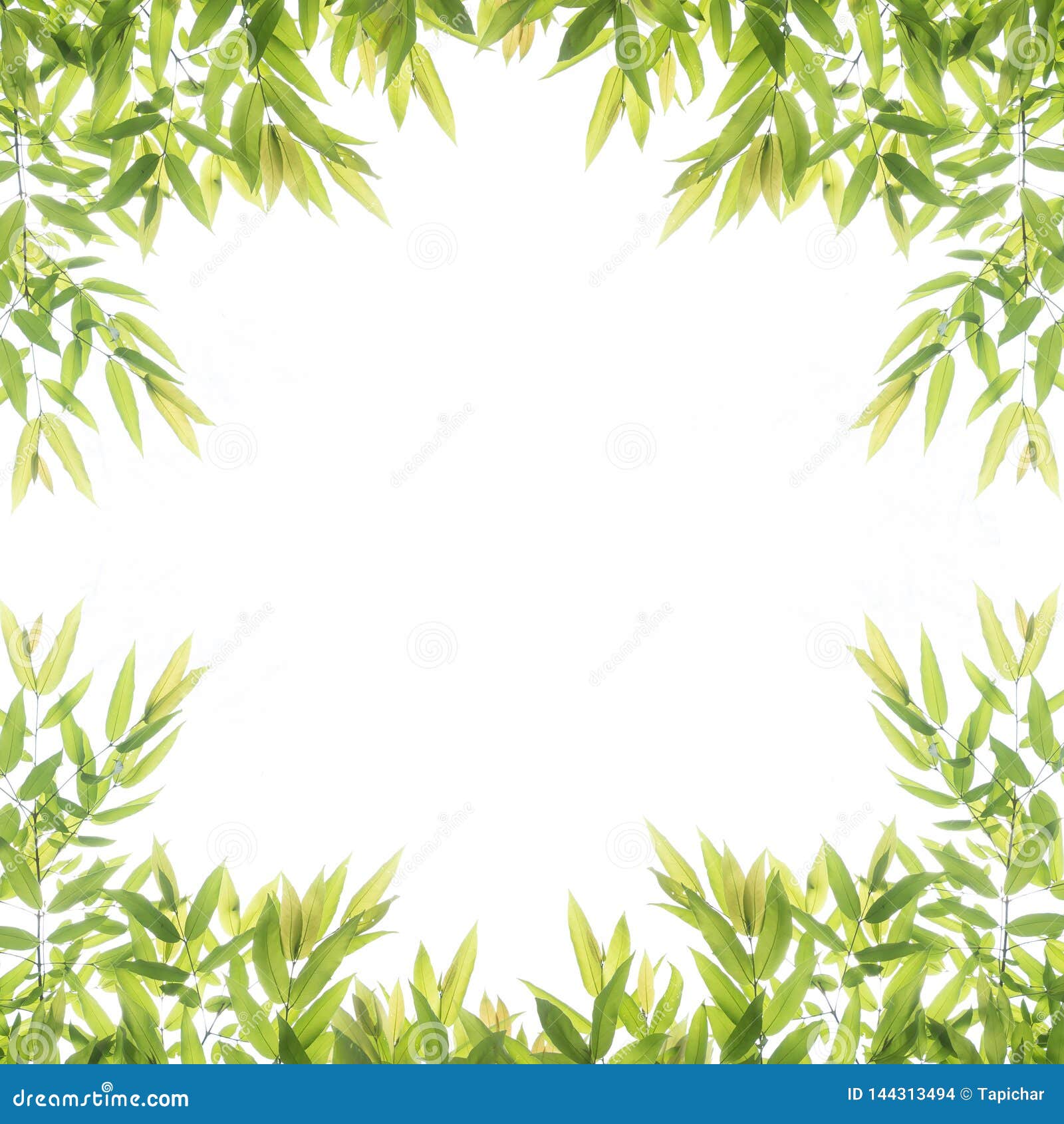 Green Leaf Border Frame for Background Stock Illustration ...