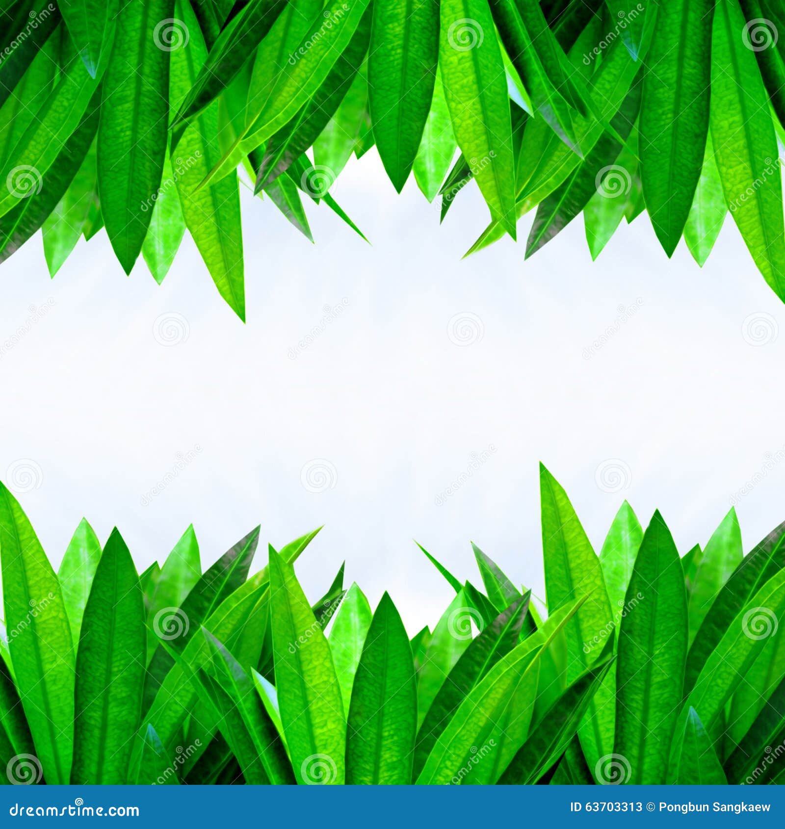 Green leaf border stock image. Image of repeating, empty - 63703313