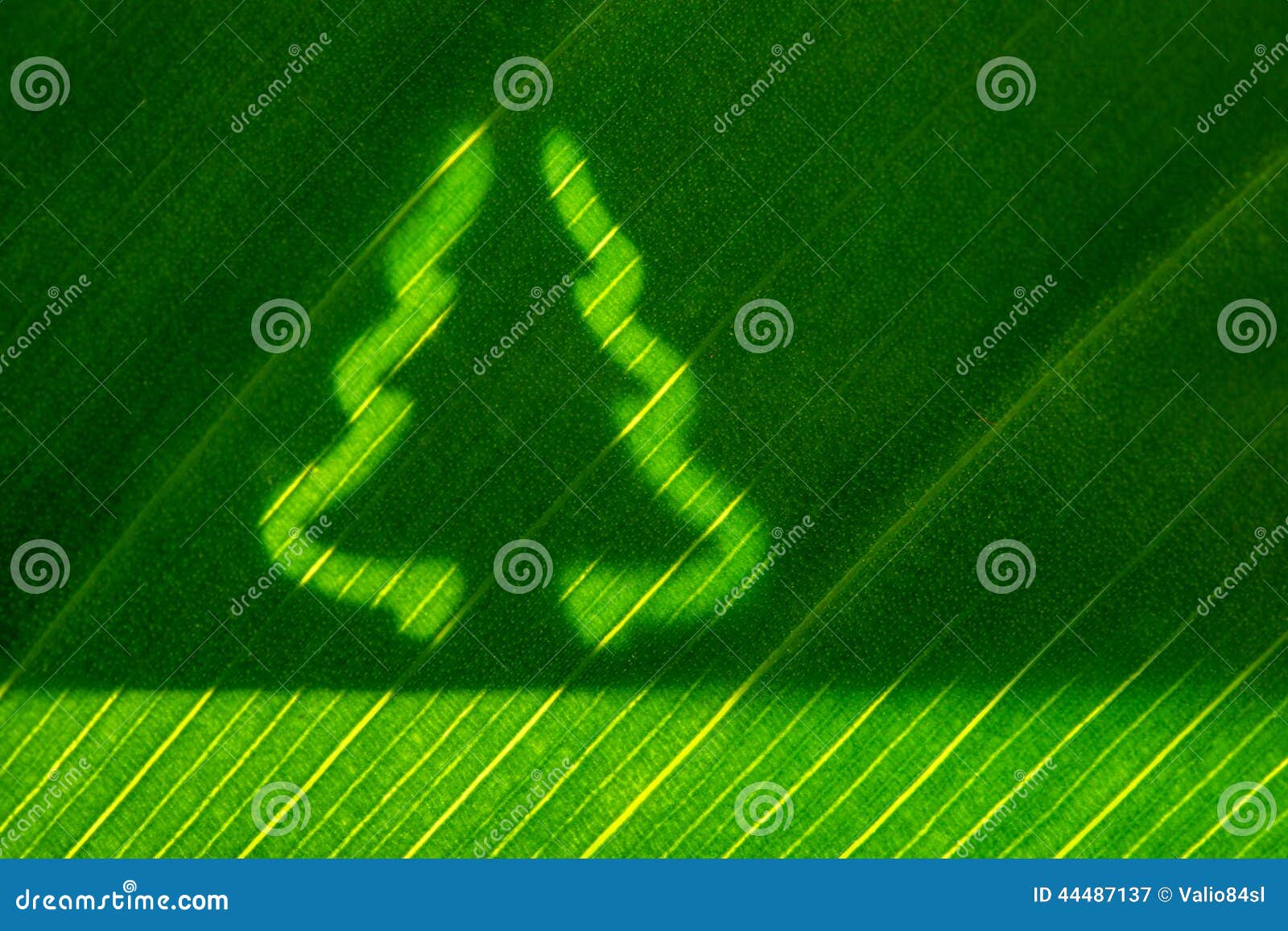 Green Leaf with Christmas Tree Shape Stock Image - Image of celebration ...