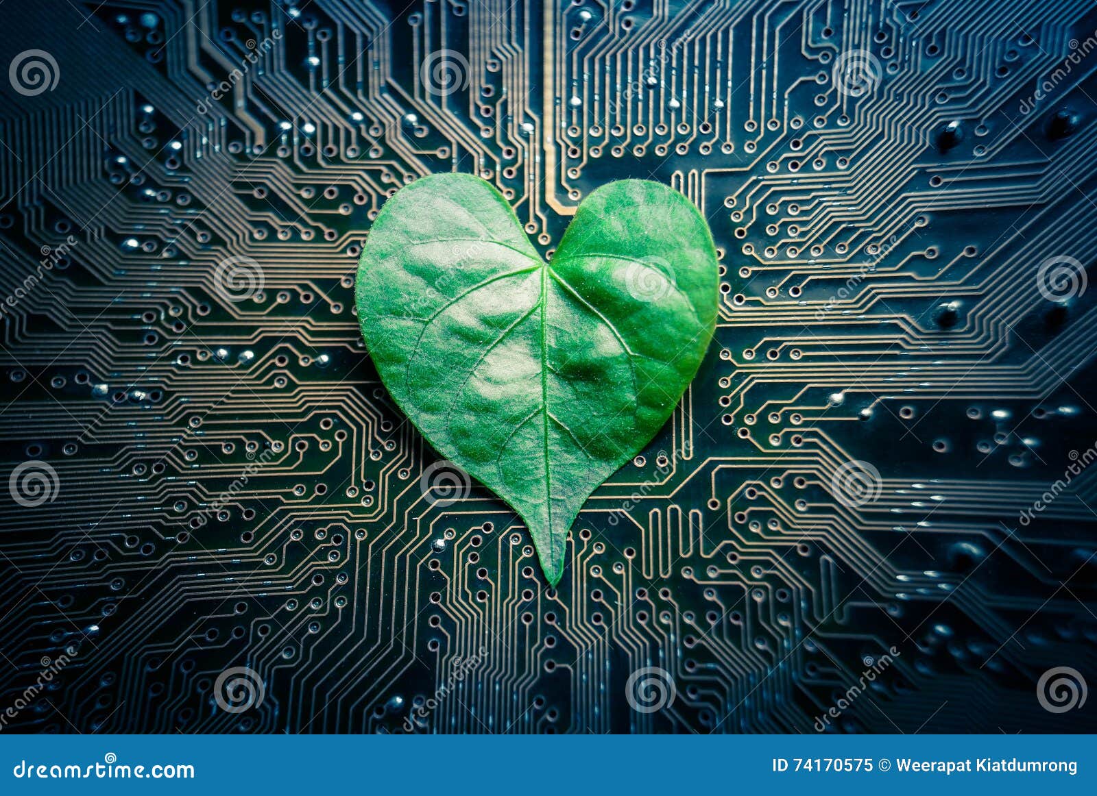 Green it stock image. Image of green, electrical, chip - 74170575