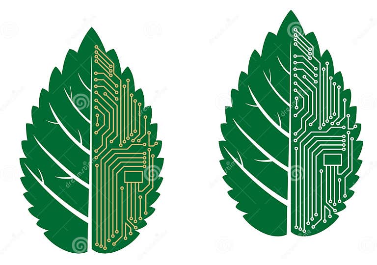 Green Leaf with Computer and Motherboard Elements Stock Vector ...