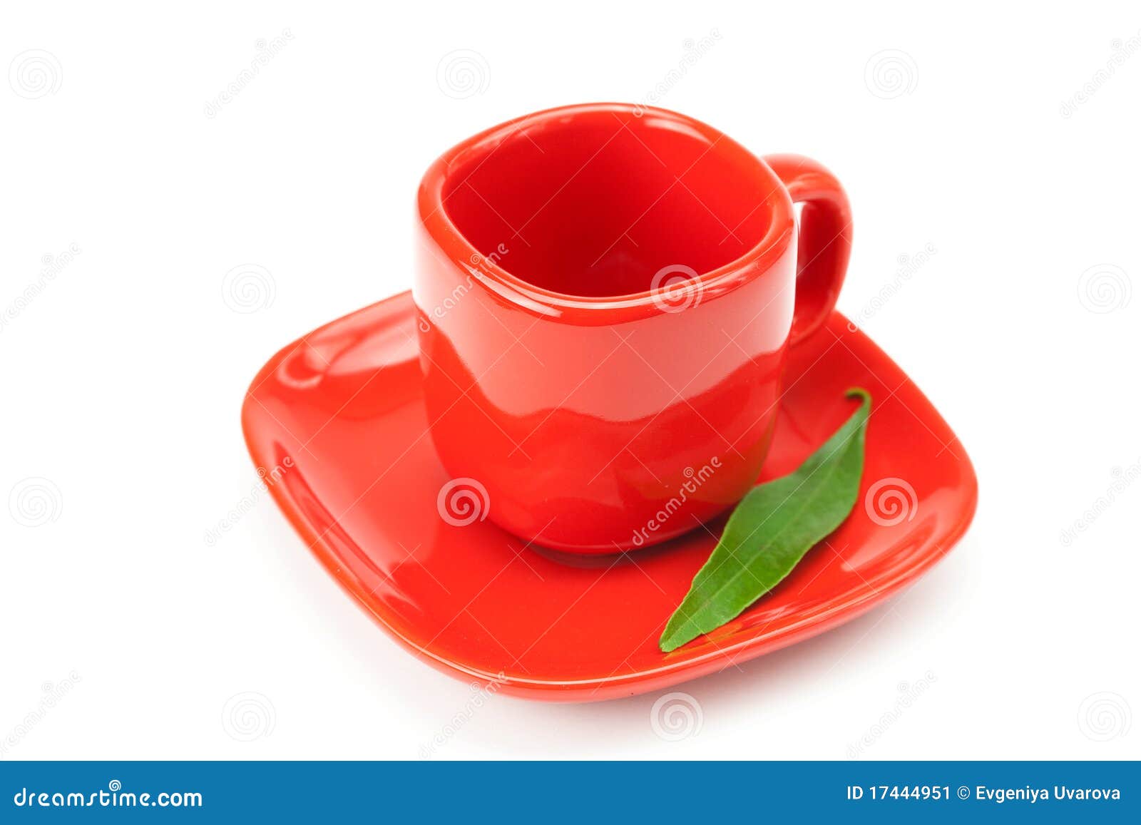 Green Leaf in the Cup is Isolated on a White Stock Image - Image of ...