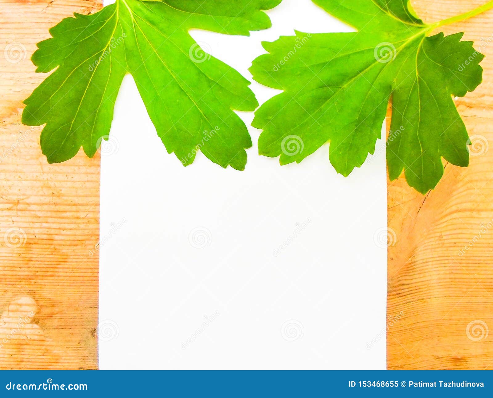 Green Leaf of Currant and Empty Sheet of Paper on a Rustic Table from ...