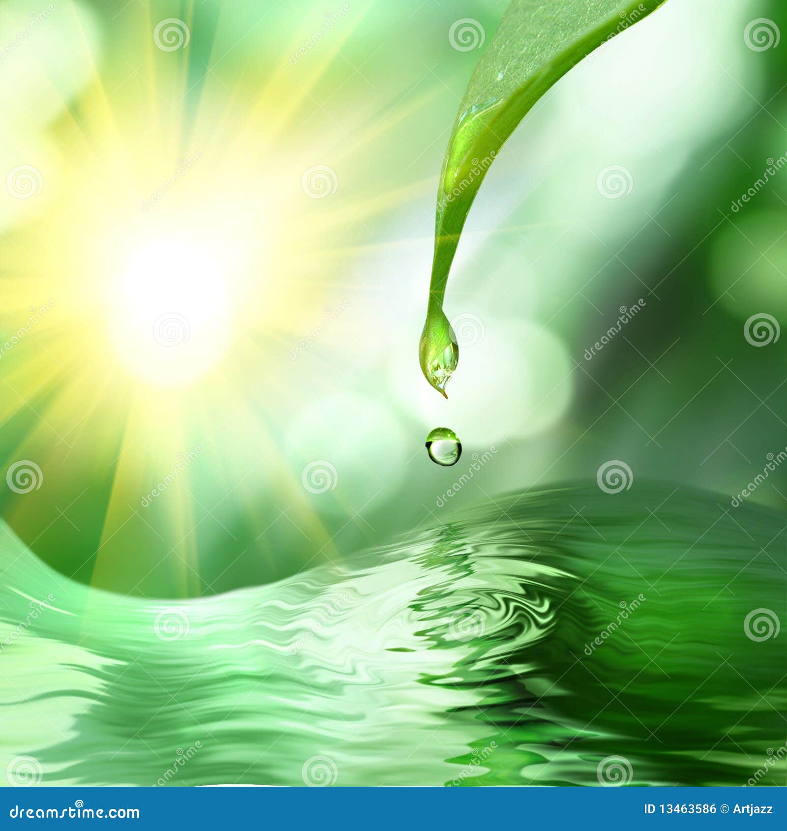 Green Leaf with Drop of Water Stock Photo - Image of protection ...