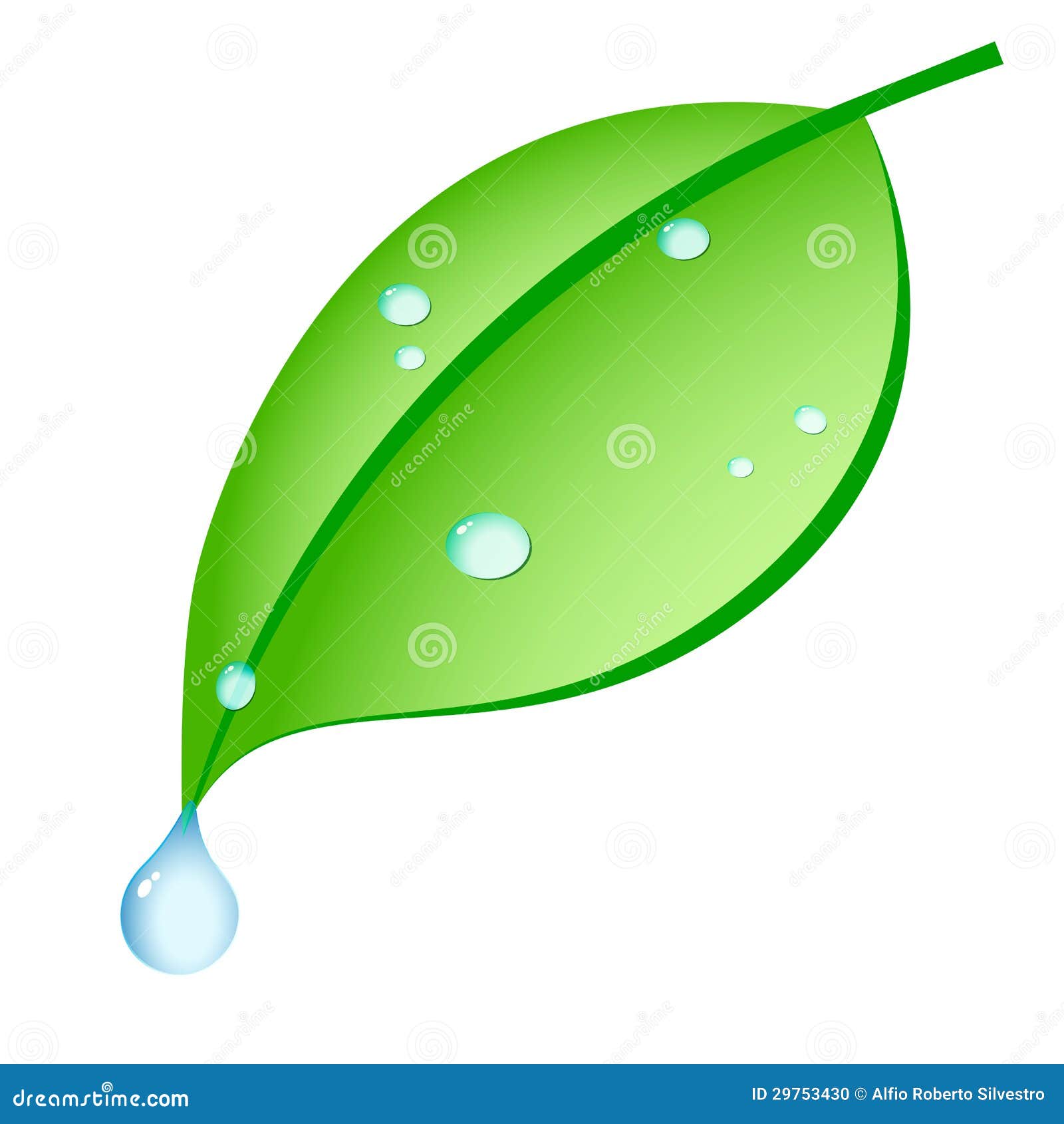 Drops of dew stock illustration. Illustration of green - 29753430