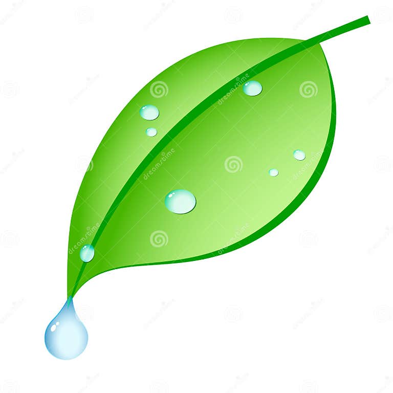 Drops of dew stock illustration. Illustration of green - 29753430