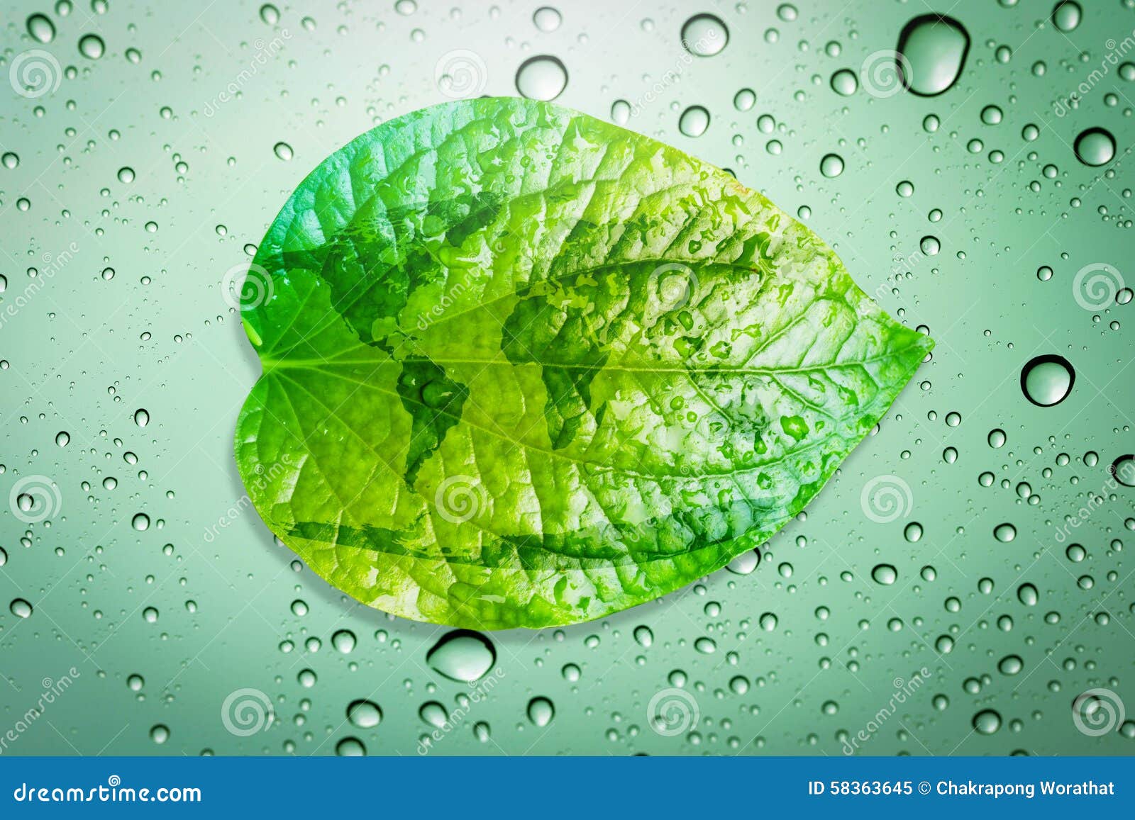 Green Leaf Environment Concept Save the Earth. Stock Image - Image of ...