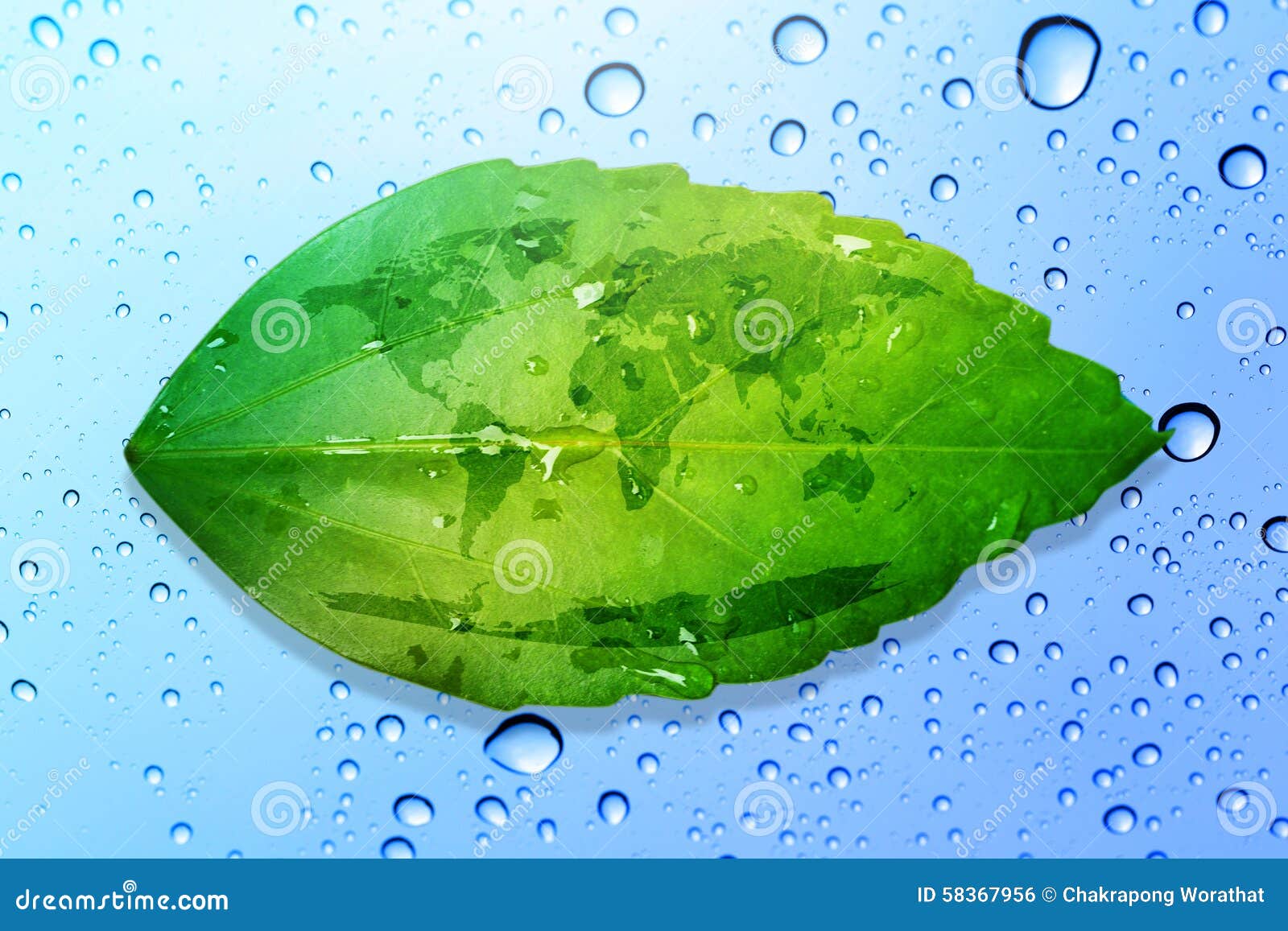 138,952 Green Earth Leaf Photos - Free & Royalty-Free Stock Photos from ...