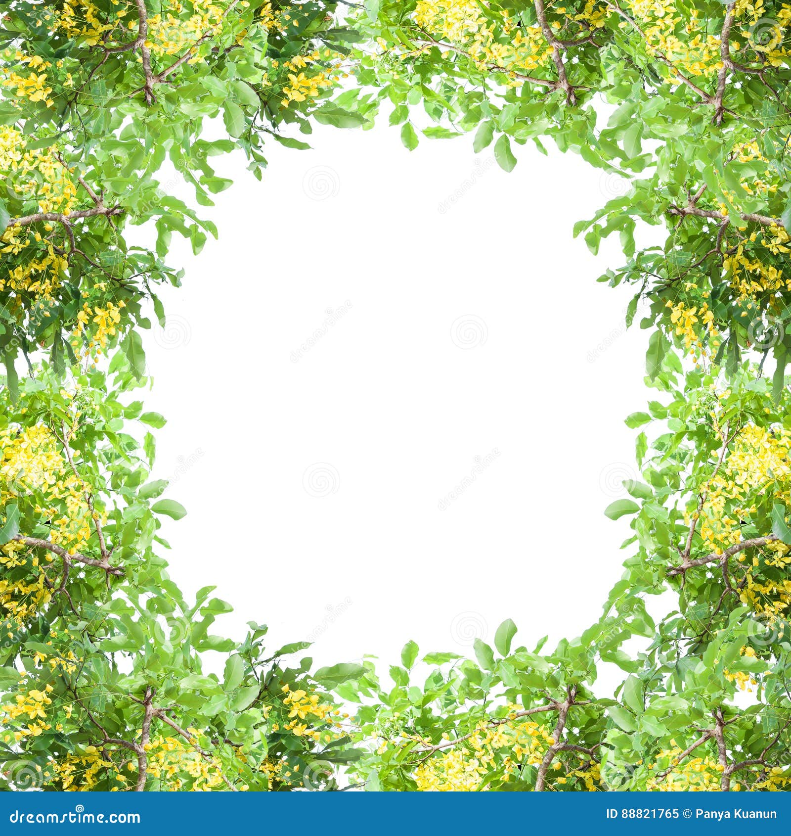 Green Leaf and Flower Frame on White Background. Stock Image - Image of ...