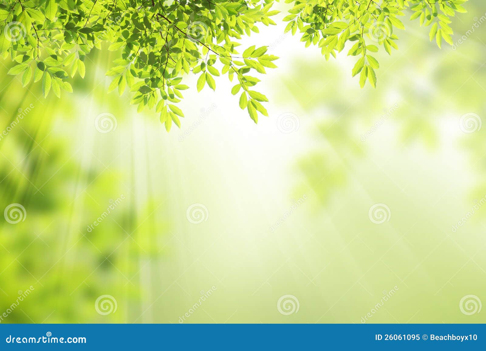 Green leaf frame. stock image. Image of macro, garden - 26061095