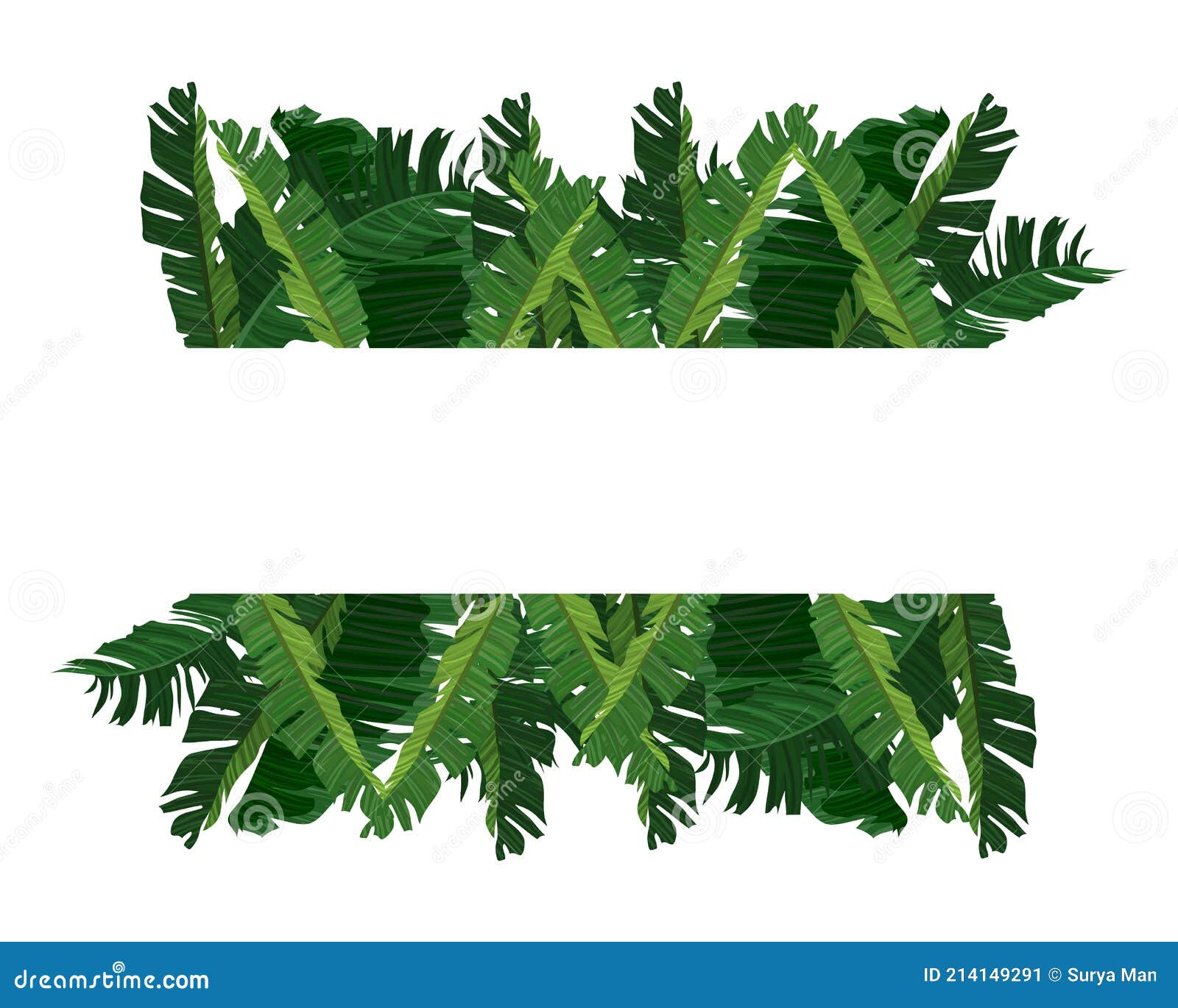 Green Leaf Frame with Banana Leaves High Resolution Stock Vector ...