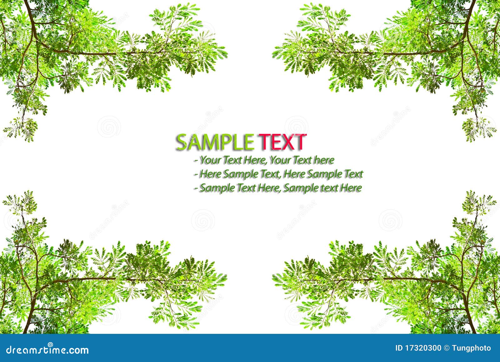 Green leaf frame isolated stock photo. Image of space - 17320300