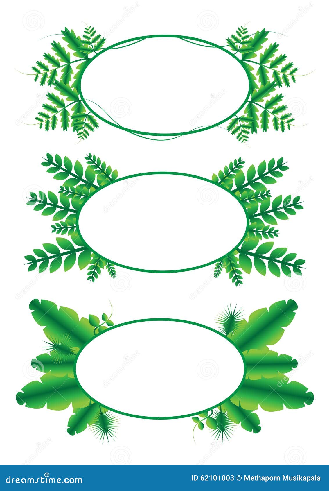 Green Leaf Frame Vector And Illustration 01 | CartoonDealer.com #62101003