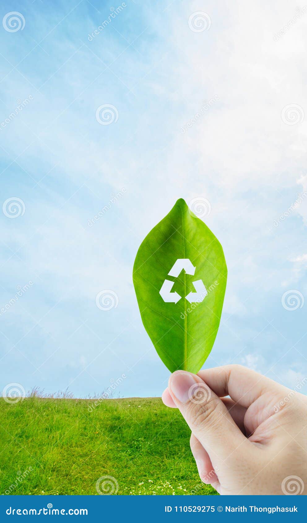 Green Leaf in Hand with Recycle Symbol on Nature Background Stock Image ...