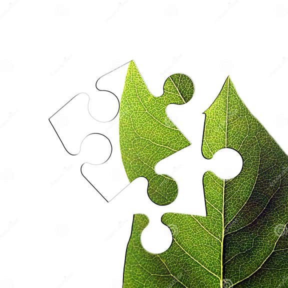 Green leaf jigsaw stock photo. Image of conceptual, leaf - 5126232