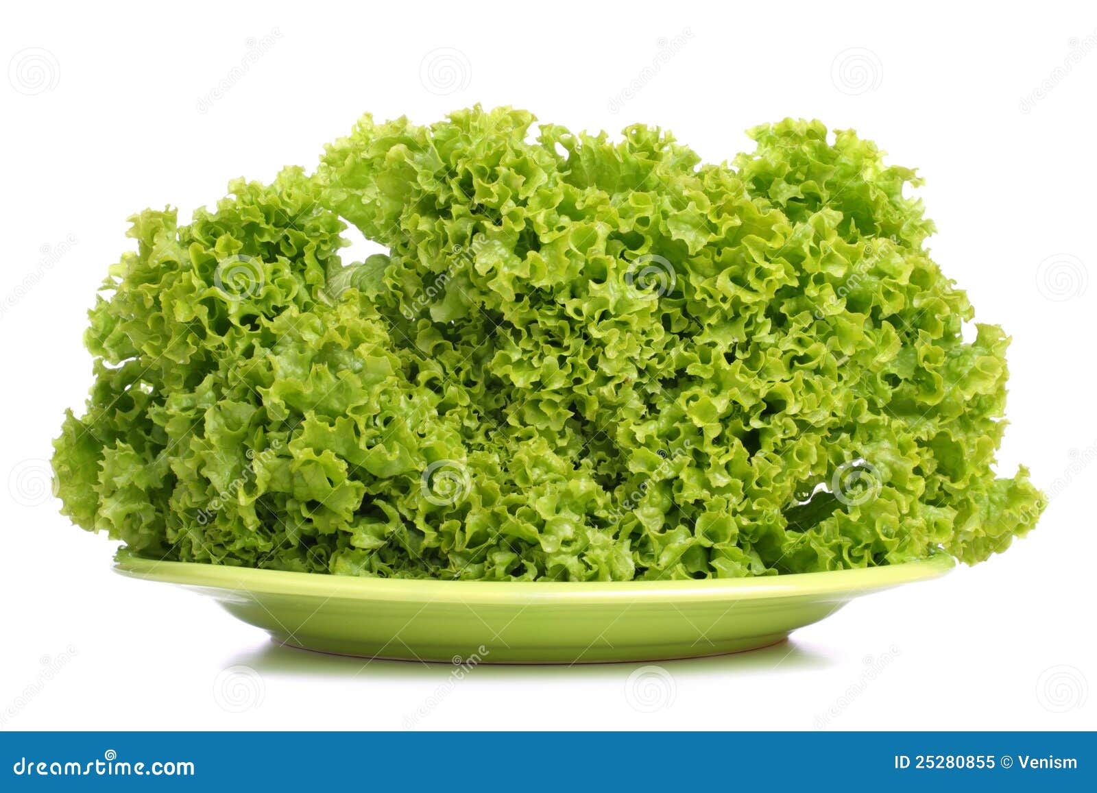 Green leaf lettuce stock image. Image of freshness, closeup - 25280855