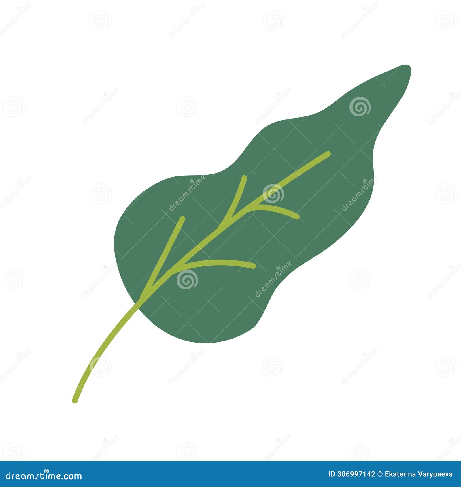 Green Leaf Over White Background. Vector Graphics. Artwork Design ...