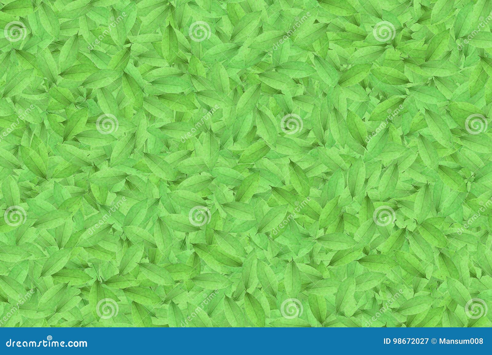 Green Leaf Pattern Background Stock Image - Image of detail, backdrop ...