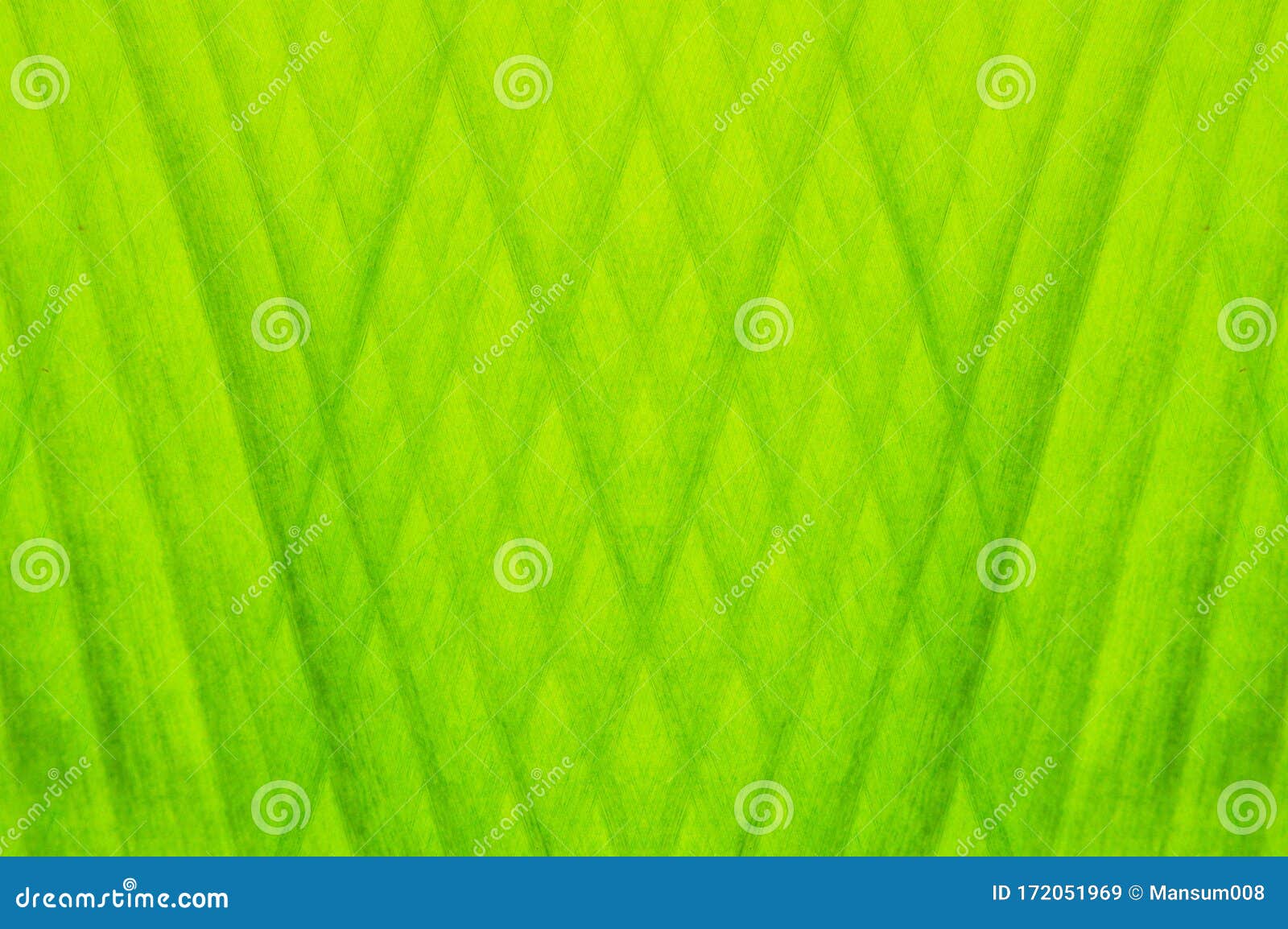 Green Leaf Pattern Background Stock Image - Image of color, pattern ...