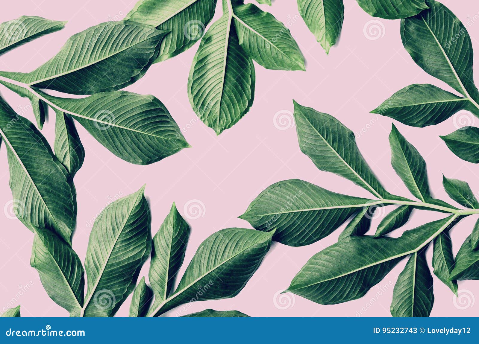 Leaf Pattern Nature Frame Layout Of Heart Shaped Green Leaves ...