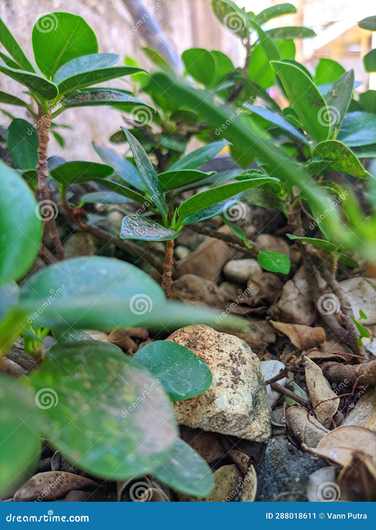 Enchanting Stone Archway Portal Illuminated By Glowing Runes At Sunset ...