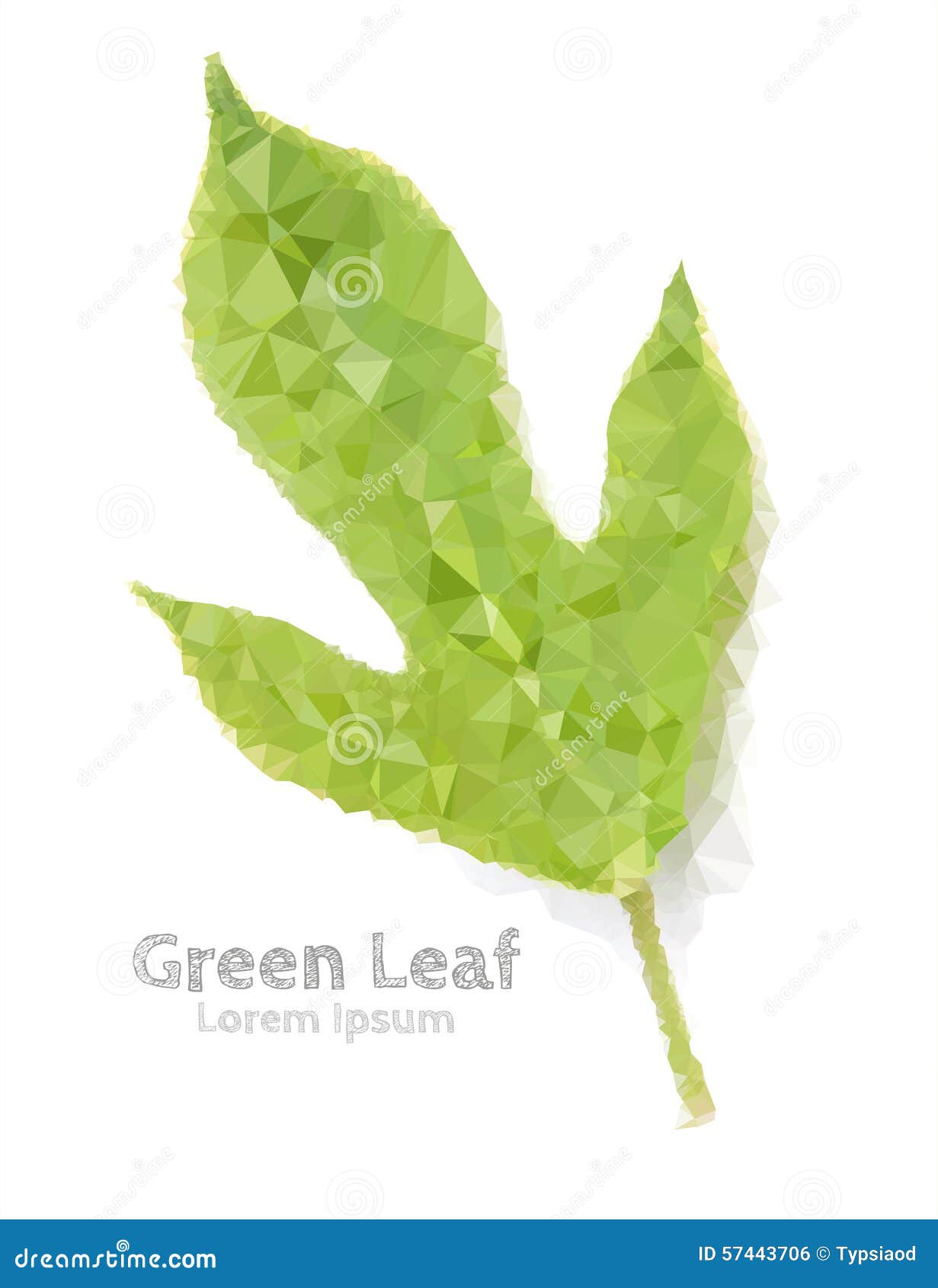 Green Leaf Polygonal Geometric. Stock Vector - Illustration of ...