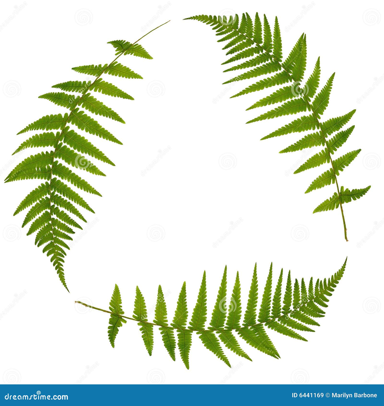 Green Leaf Recycling Symbol Stock Image - Image of nature, space: 6441169