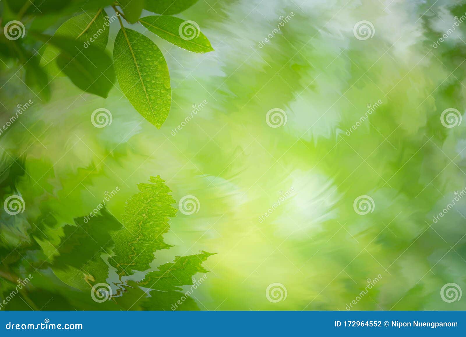 Green Leaf Reflections in Water Ripple Stock Photo - Image of backdrop ...