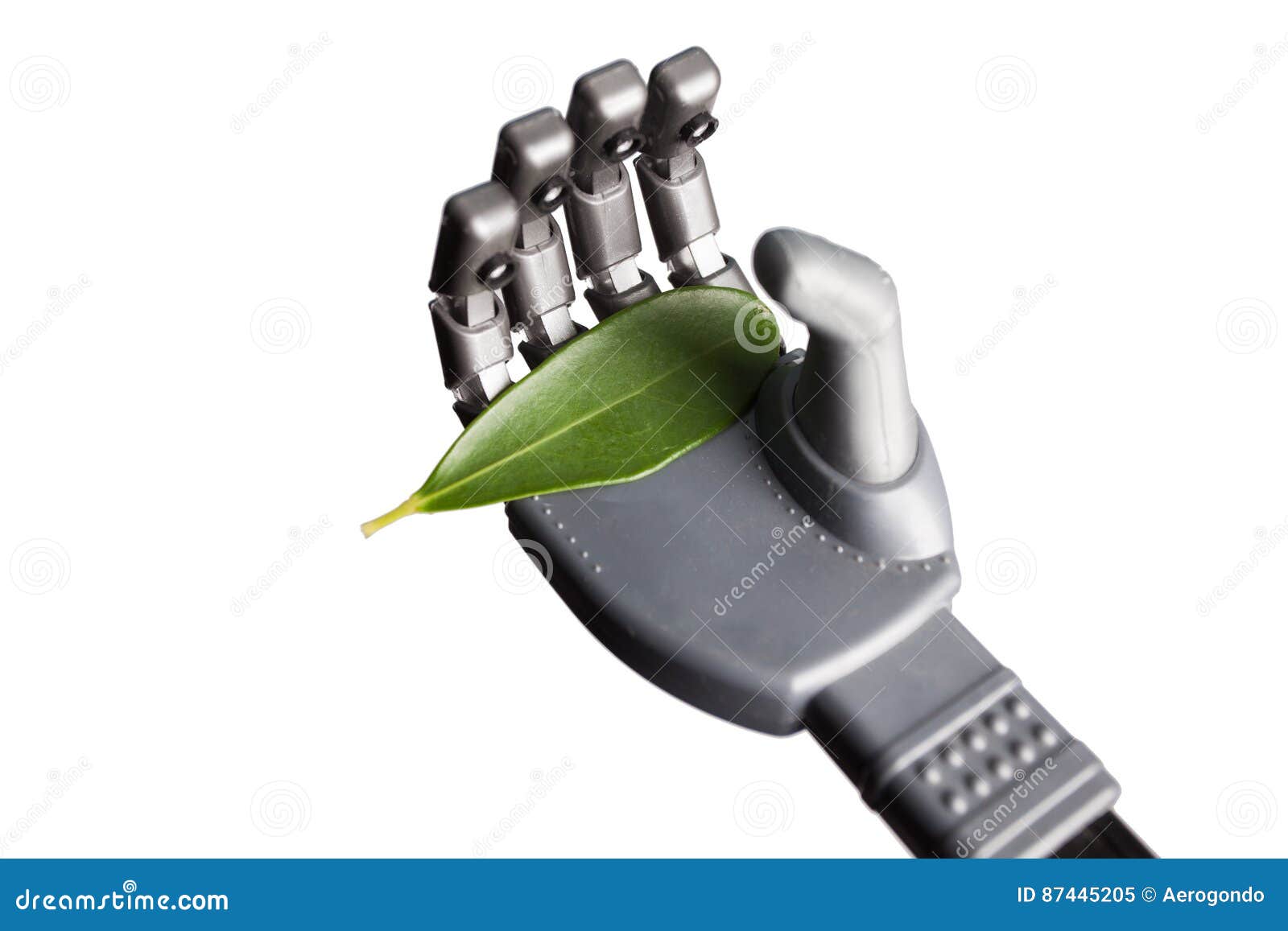 Green Leaf in Robotic Hand Isolated on White Stock Image - Image of ...