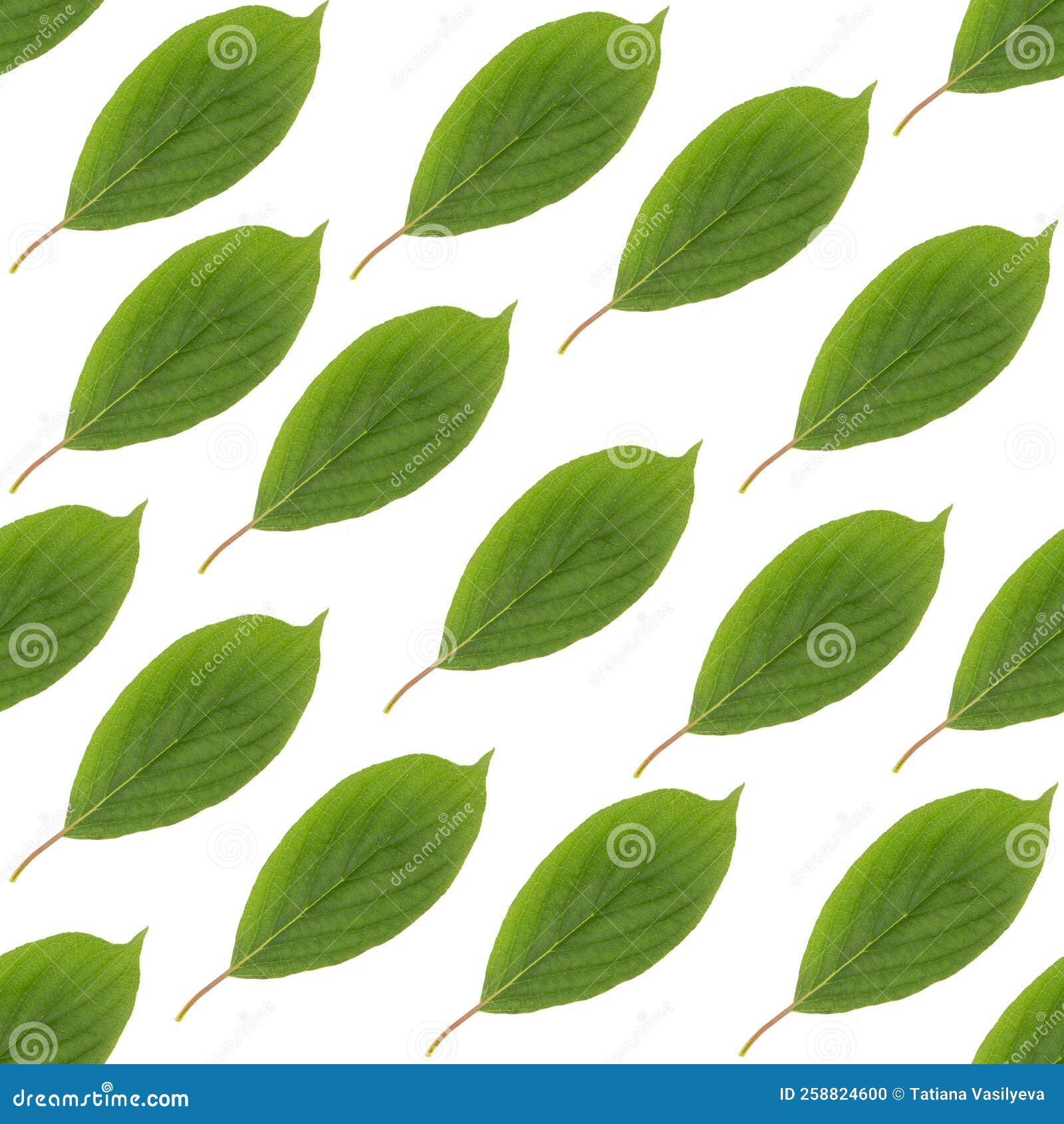 Green Leaf Seamless Pattern, Natutal Summer Background Stock Photo ...