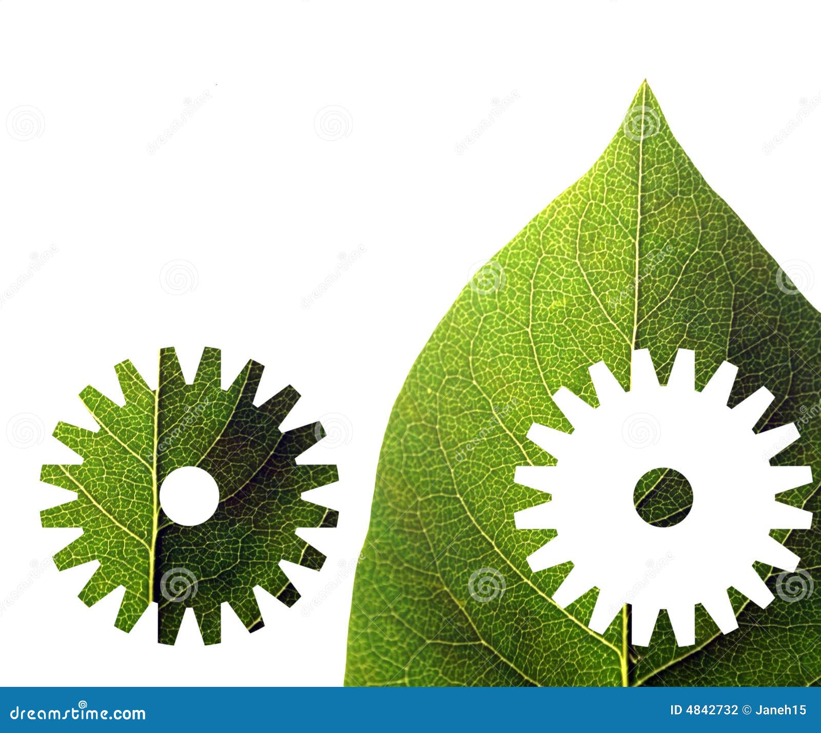 Green leaf shape stock photo. Image of nature, cogwheel - 4842732