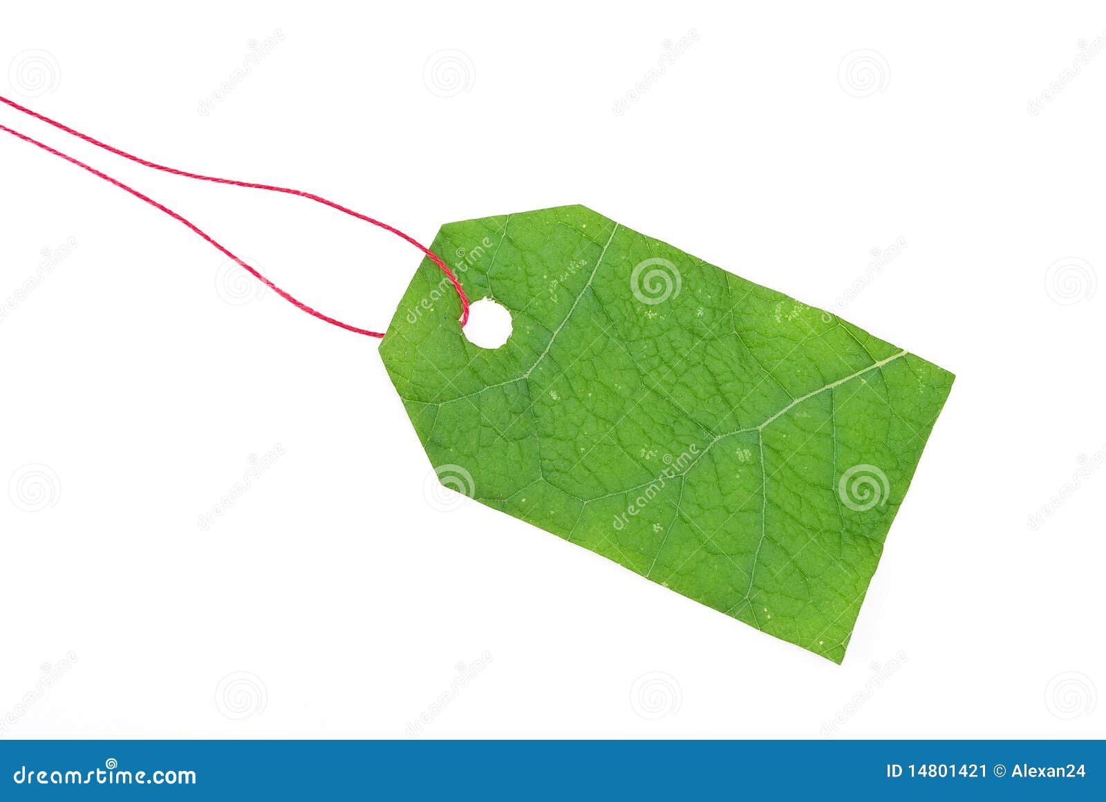 Green leaf tag stock image. Image of luxury, decorate - 14801421