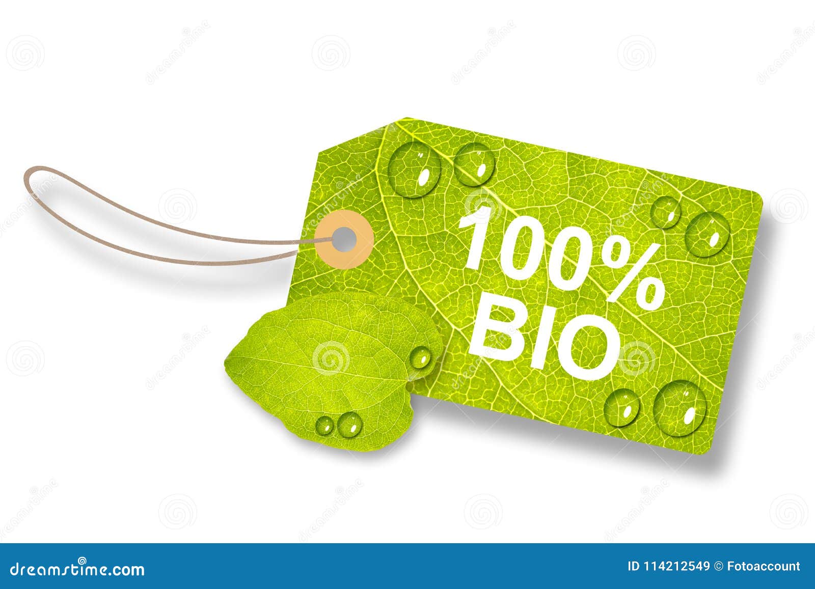 Green Leaf Tag, Label 100 Bio - on White Stock Illustration ...