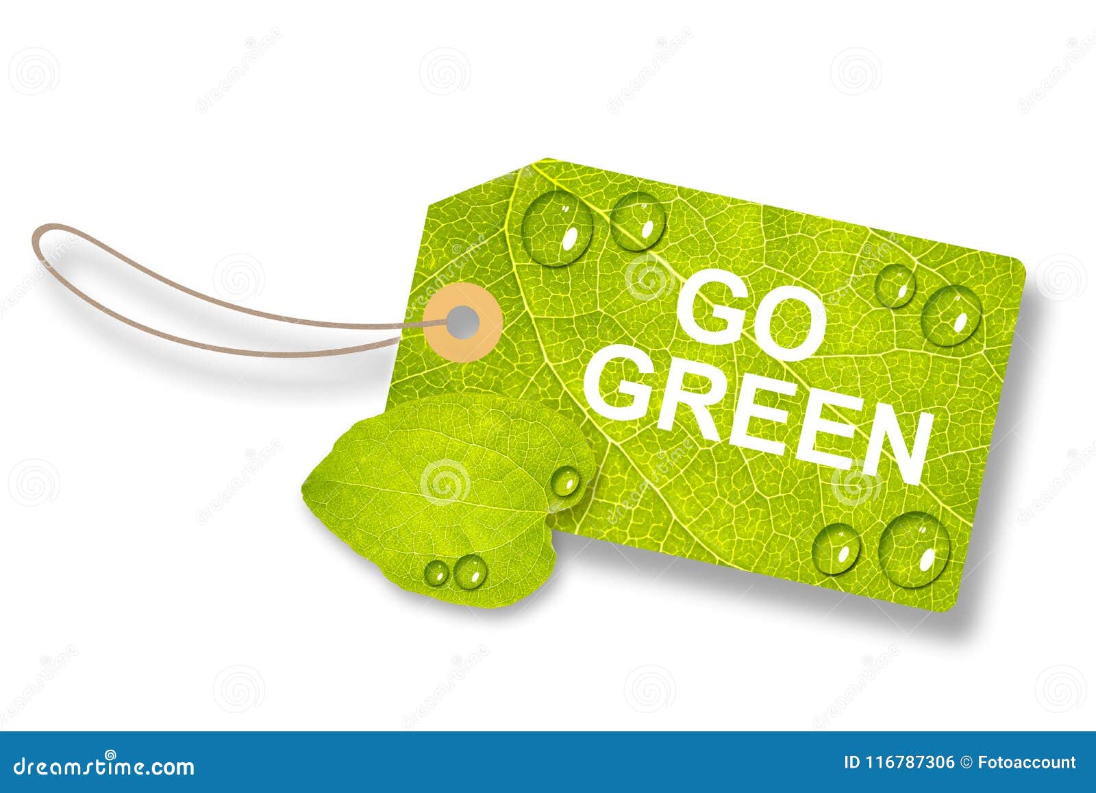 Green Leaf Tag, Label Go Green - Isolated on White Background Stock ...