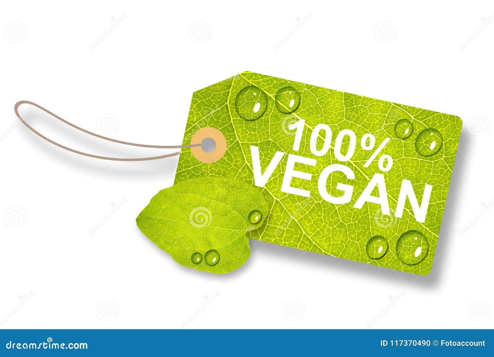 Green Leaf Tag, Label 100 Vegan - Isolated on White Background Stock ...
